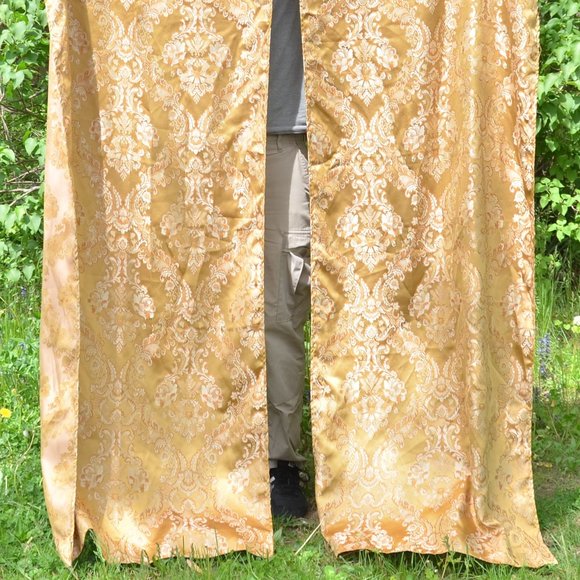 unknown | Accents | Gold Fringe Trim Paisley Brocade Curtains Panels ...